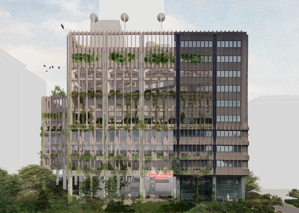 Afstudeerpresentatie Mike van Rheenen - Rotterdamse Academie van ...